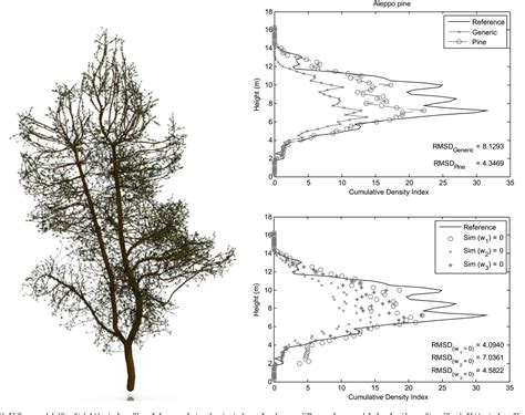 Figure 9 From An Architectural Model Of Trees To Estimate Forest Structural Attributes Using