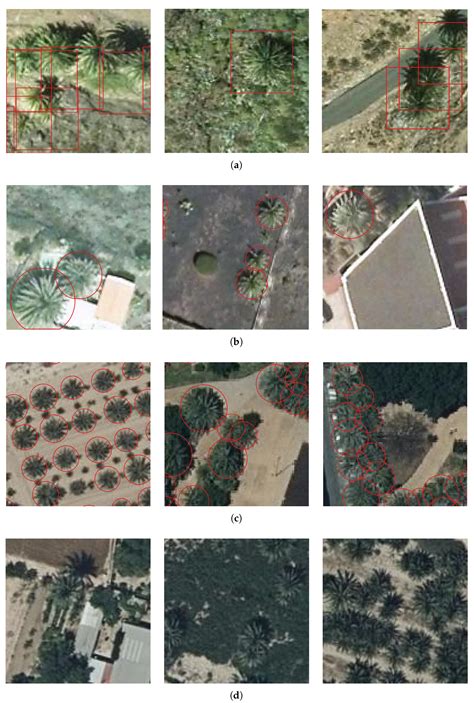 Individual Palm Tree Detection Using Deep Learning On Rgb Imagery To Support Tree Inventory