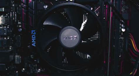 Can You Use Nvidia With Amd Cpu And Gpu Compatibility