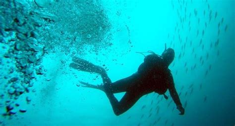 No Decompression Limit Ndl Guide Diving Lore