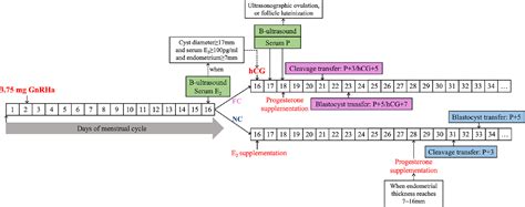 Figure 2 From Hcg Trigger Of Gnrh Agonist Induced Functional Ovarian Cysts Does Not Decrease