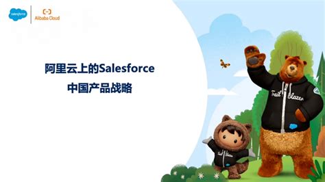 阿里云上的salesforce现已发布 蓝点网