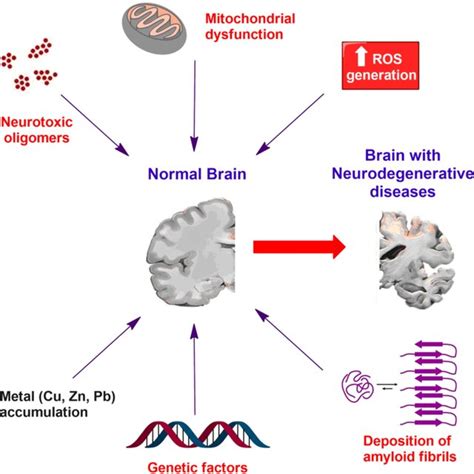 The Structure Of Confounding Source Jager Et Al 13 Download Scientific Diagram