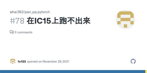 在IC 上跑不出来 Issue whai pan pp pytorch GitHub