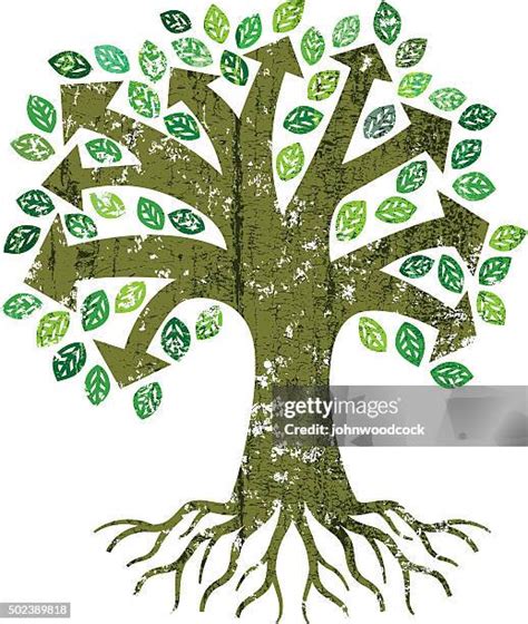 Tree Arrow Photos And Premium High Res Pictures Getty Images