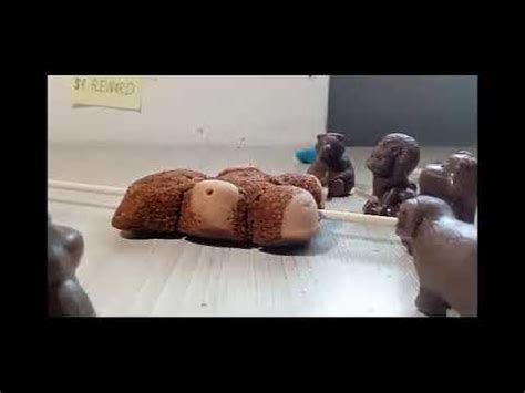 медведи - YouTube