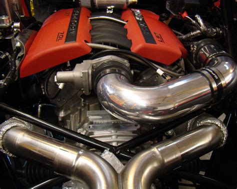 HOME Gator Ls Gtm Primary Hgsitebuilder Com