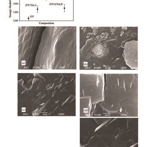 Particle Size Distribution And Sem Micrographs Of A Talc A And B Download Scientific