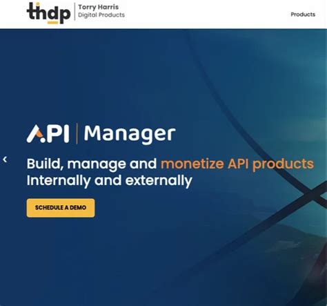 Digitmarket Api Manager Software Free Demo Available At Best Price In