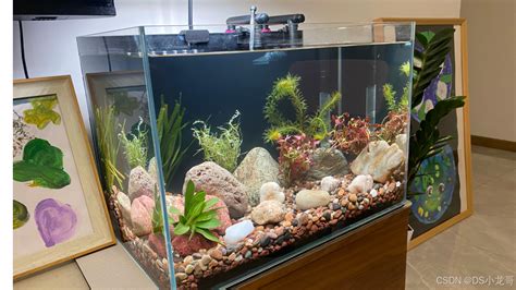 基于stm32设计的智能鱼缸蓝牙版基于stm32的智能鱼缸设计研究现状 Csdn博客