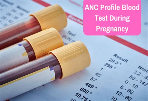 Understanding Anc Profile Tests During Pregnancy