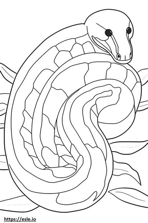 Black Pastel Ball Python Cute Coloring Page