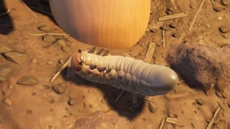Grounded How To Get Grub Hide Grub Goo