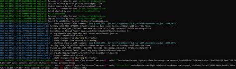 Deploy Jar File With Parameters On Heroku Salesforce Stack Exchange
