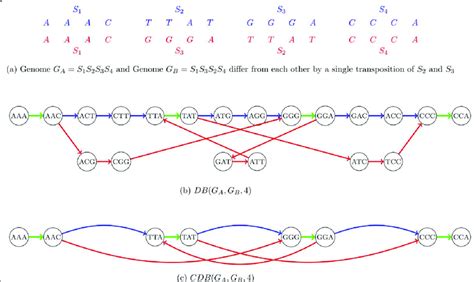 The De Bruijn Graph Dbg A G B 4 And The Condensed De Bruijn Graph