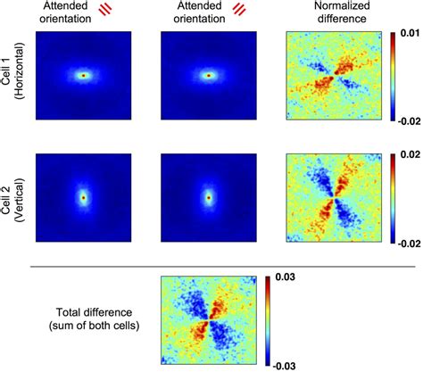 feature based attention shifts the reconstructed receptive fields of