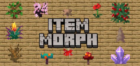 Item Morph Addon addon for Minecraft