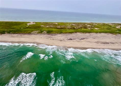 Cruise To Sable Island 60 Photos