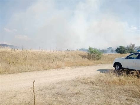 ВИДЕО Штипските пожарникари се обидуваат да спасат свињарска фарма