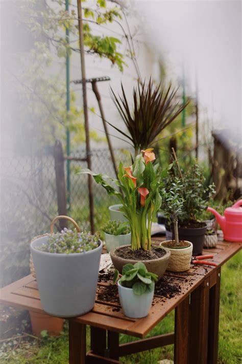 Vrijeme Je Za Vrtlarenje Nabavite Sve U LIDL Prodavaonicama