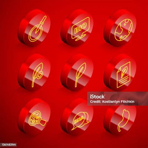 파이펫 바이오 건강한 음식 지구 지구 잎 또는 잎 에코 종이 잎 돋보기 및 Dna 기호 아이콘 아래 미생물을 설정합니다 벡터 0