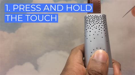 How Do I Perform A Factory Reset Plume Labs