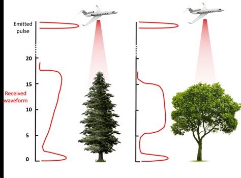 Observed Lidar Waveform Versus Forest Vertical Profile Download