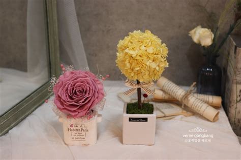 프리저브드 플라워 전문가 3급 과정수국 토피어리로즈 멜리아 부케구로 프리저브드 자격증창업반 커리귤럼오류동 꽃수업 네이버 블로그