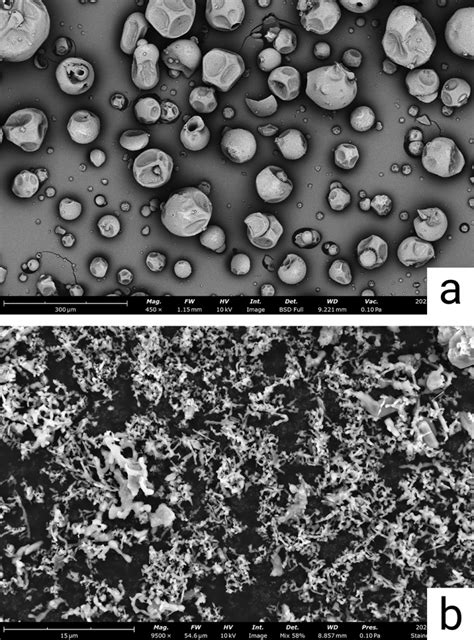 Preparing Powders For Scanning Electron Microscopy Nanoscience