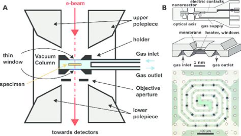 a schema of tem holder with window‐closed cell b mems‐based