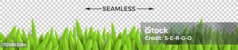 체크 무늬 배경에 녹색 종이 잔디 가로 이음매 없는 디자인 벡터 일러스트입니다 0명에 대한 스톡 벡터 아트 및 기타 이미지 0명 3월 4월 Istock
