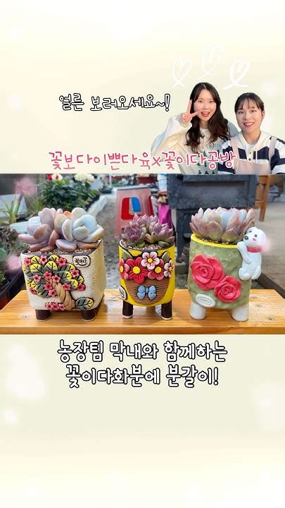 막내와 함께하는 분갈이 구경오세요 다육식물 수제화분 분갈이 다육이 꽃보다이쁜다육 Youtube