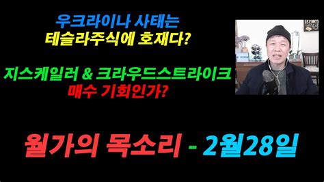 월가의 목소리 2월28일 우크라이나 사태는 테슬라주식에 호재다 지스케일러 And 크라우드스트라이크 매수 기회인가 미국주식분석끝판왕 미국주식종목분석 미국