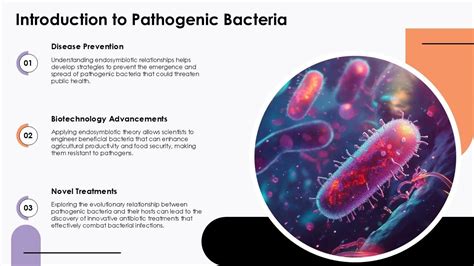 Pathogenic Bacteria Endosymbiotic Theory Of Evolution Ppt Example Acp Ppt Sample