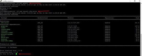How To Configure NFS Server On RHEL Bitscentric