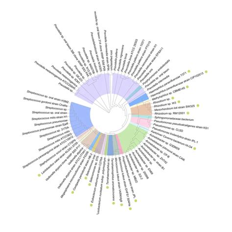 Services Dawn Of Bioinformatics Bioinformatics Services Genomics Proteomics Rnaseq