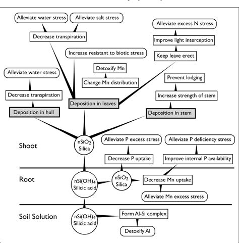 Shinnarle Roux Algorithm Semantic Scholar