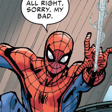 Funny Pictures Of Spider Man