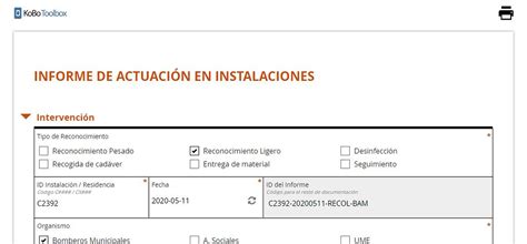 Form Date Field Missing When Trying To Print Bug Reporting