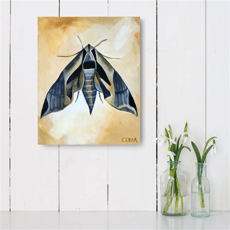 Sphinx Moth 5 Original 10 X 8 Art By Cedar Lee Sphinx Moth