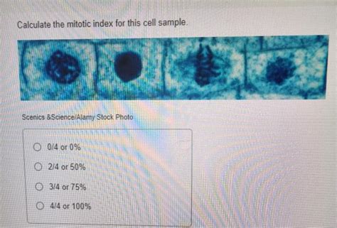 Solved Calculate The Mitotic Index For This Cell Sample