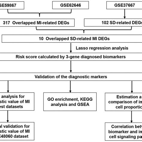 Flowchart Describing The Process Used To Identify And Validate The