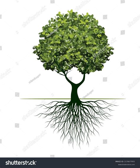 Shape Green Tree Leaves Vector Outline Stock Vector Royalty Free 2170677955 Shutterstock