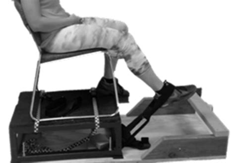 Device Used To Assess Isometric Strength Download Scientific Diagram