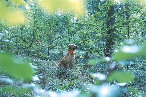 Gnss保护级别如何应对“不可知”的定位误差 知乎