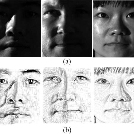 Illumination Invariants A Original Images B Results Of Illumination Download Scientific