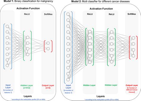 Schematic Illustration Of The Two Dnn Architectures Download Scientific Diagram