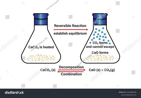 Reversible Reactions Reversible Reaction Dynamic Equilibrium Stock Vector Royalty Free
