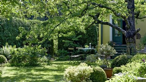 Bäume Im Garten Planen Ratgeber Und Tipps Obi