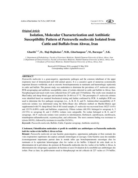 Pdf Isolation Molecular Characterization And Antibiotic Susceptibility Pattern Of Pasteurella